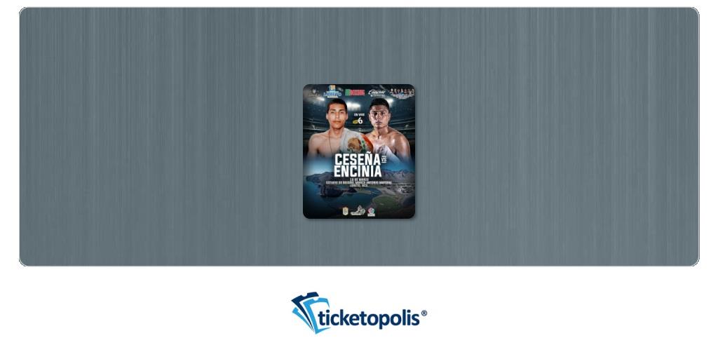 Pelea de Box - Inicio